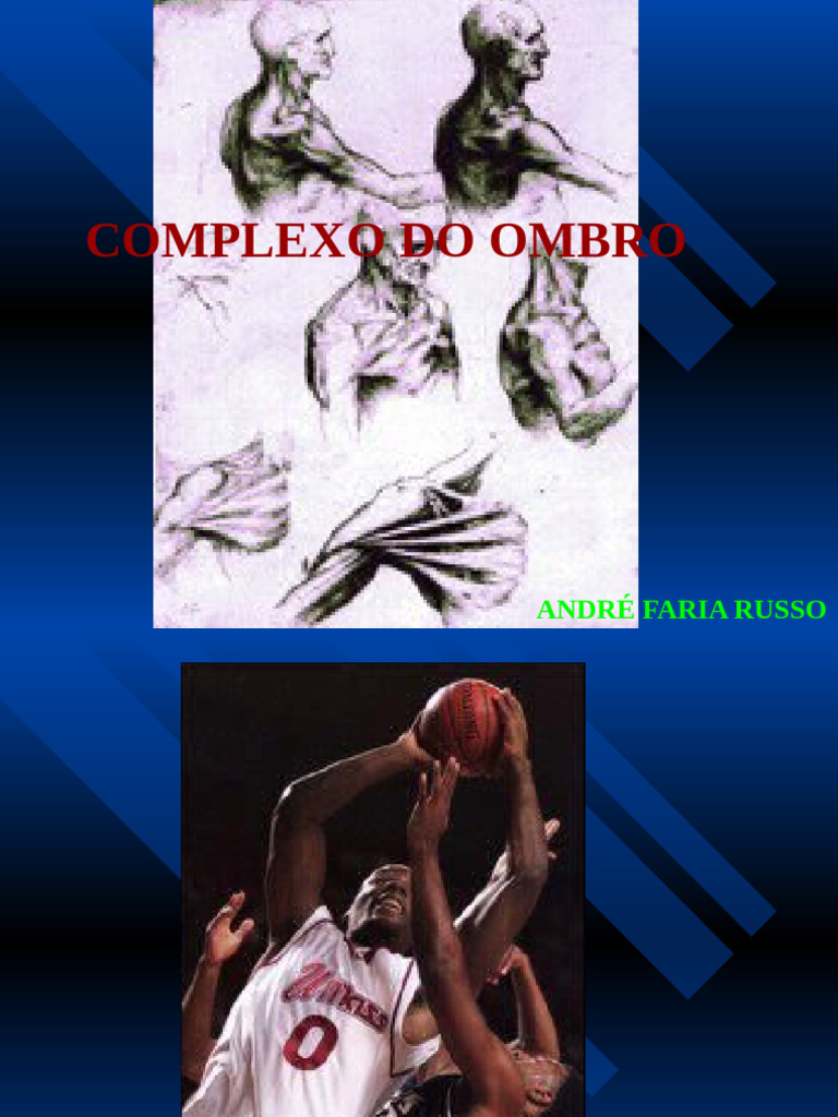 Aula 3 - Complexo Do Ombro | PDF | Ombro | Músculo