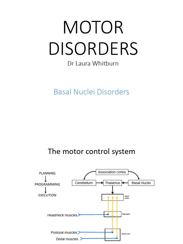 Basal Nuclei Disorders and Movement Disturbances | PDF