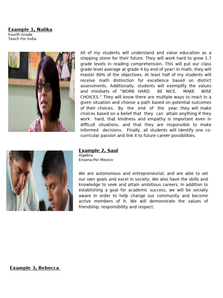 Sample Participant Level Visions | PDF | Mathematics | Critical Thinking