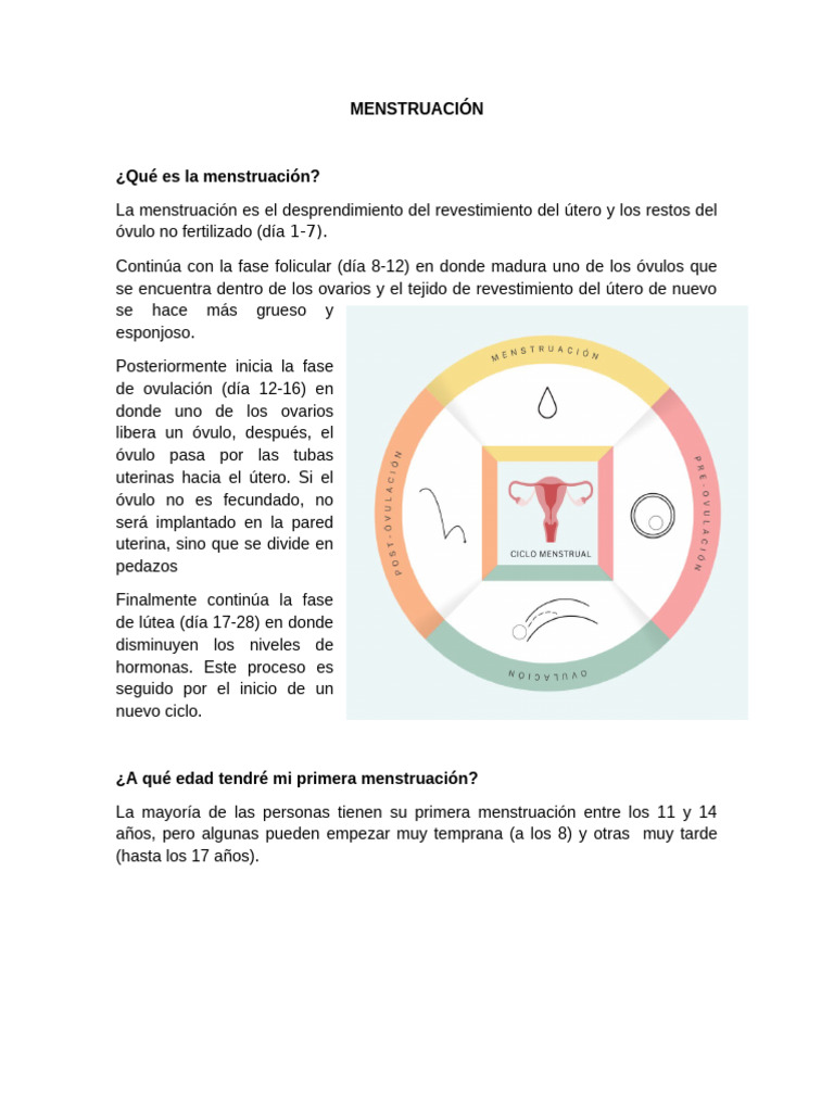 MENSTRUACIÓN | PDF | Menstruación | Ovario