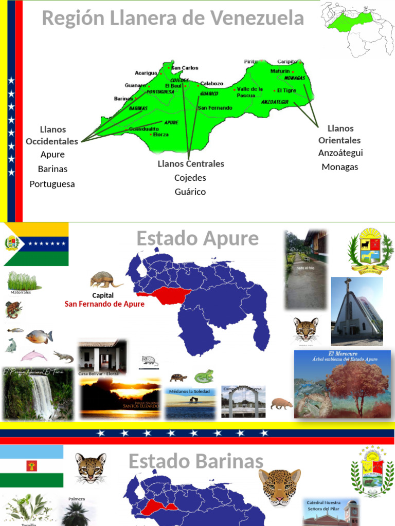 Region Llanera | PDF