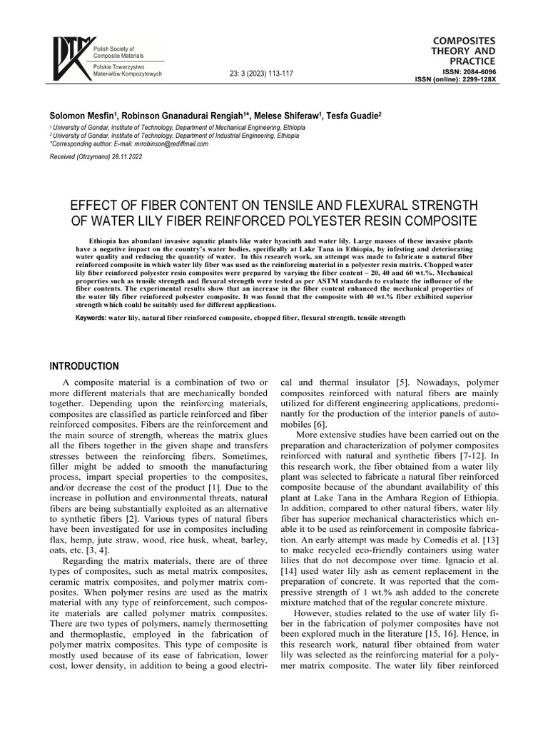 1431 2023t03 Solomon-Mesfin-Robinson | PDF | Composite Material | Materials