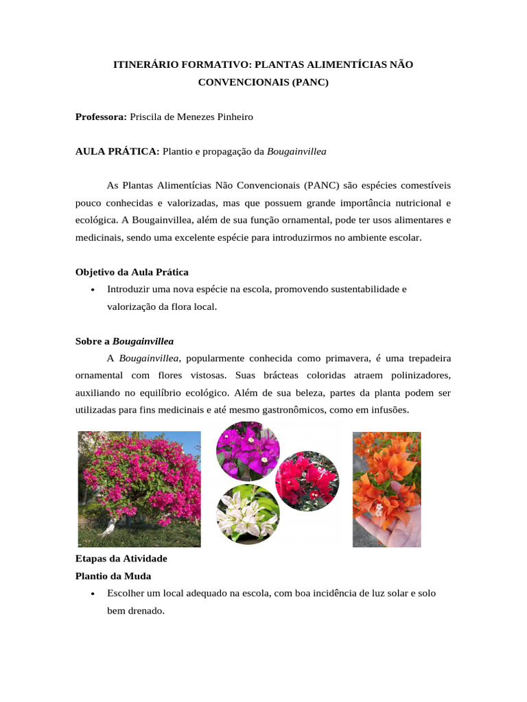 Aula Prática Itinerário PANC | PDF | Ambiente natural