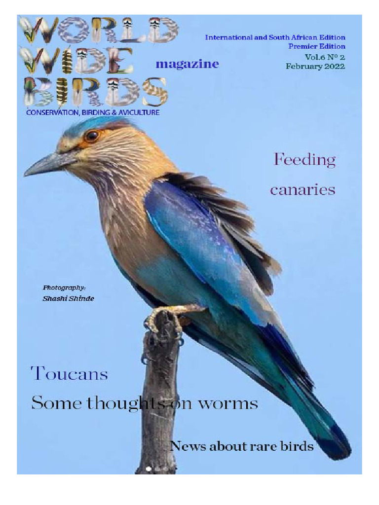 Avian Insights: Toucans & Care Tips | PDF | Birds
