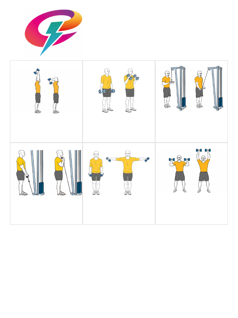 Dia 1 - Superior - HOMBROS - BICEPS - TRICEPS | PDF