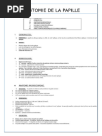 Anatomie Du Corps Genicule Lateral 2022 | PDF | Système visuel | Vision