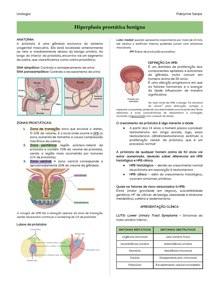 Urologia - HPB | PDF