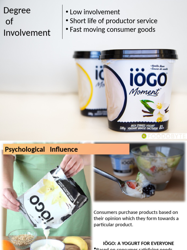 Iogo Yogurt | PDF