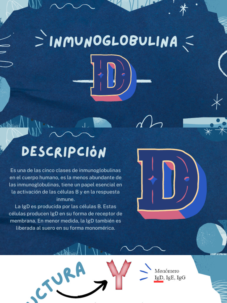 Inmunoglobulina Pdf Sistema Inmune Anticuerpo