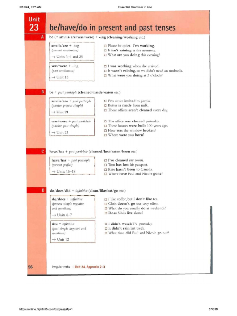 K23-(be-have-do in Present and Past Tenses) | PDF