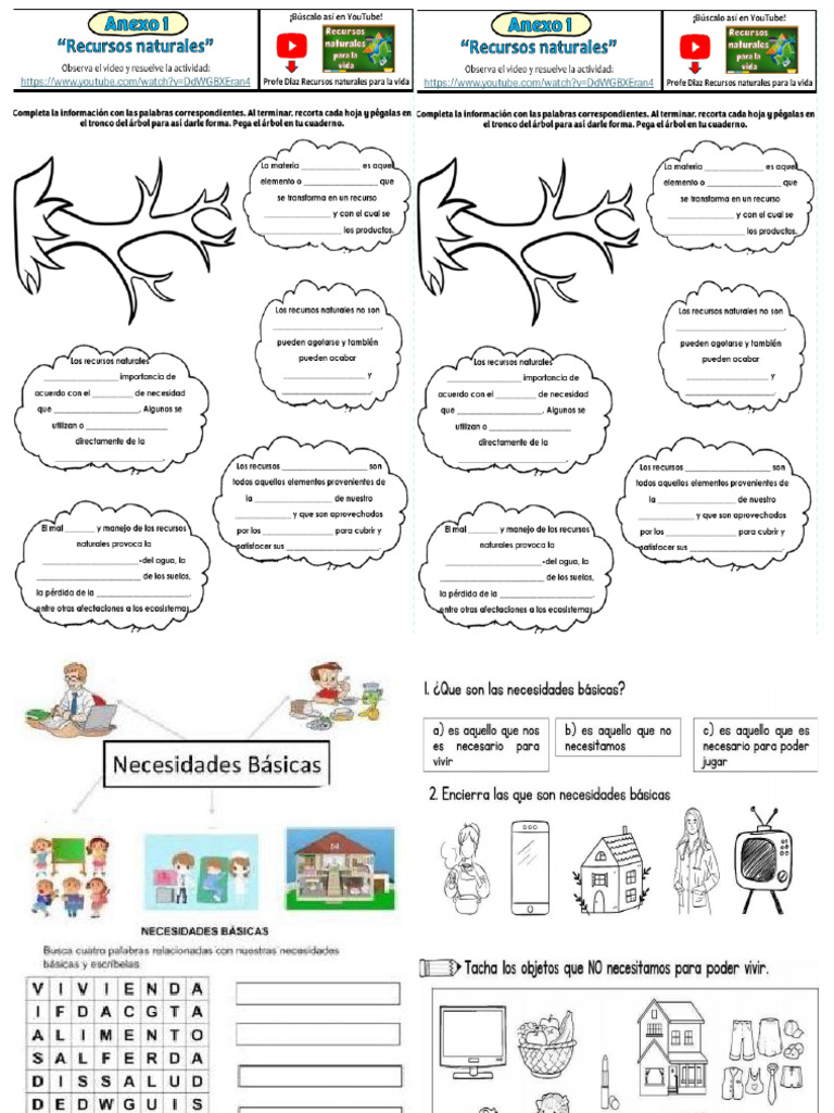Anexos Rareriroru Inicio Proy | PDF