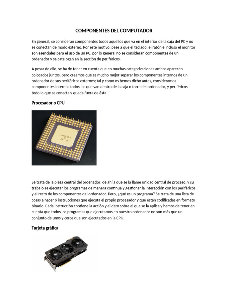 Componentes Esenciales del Computador | PDF | Unidad Central de ...