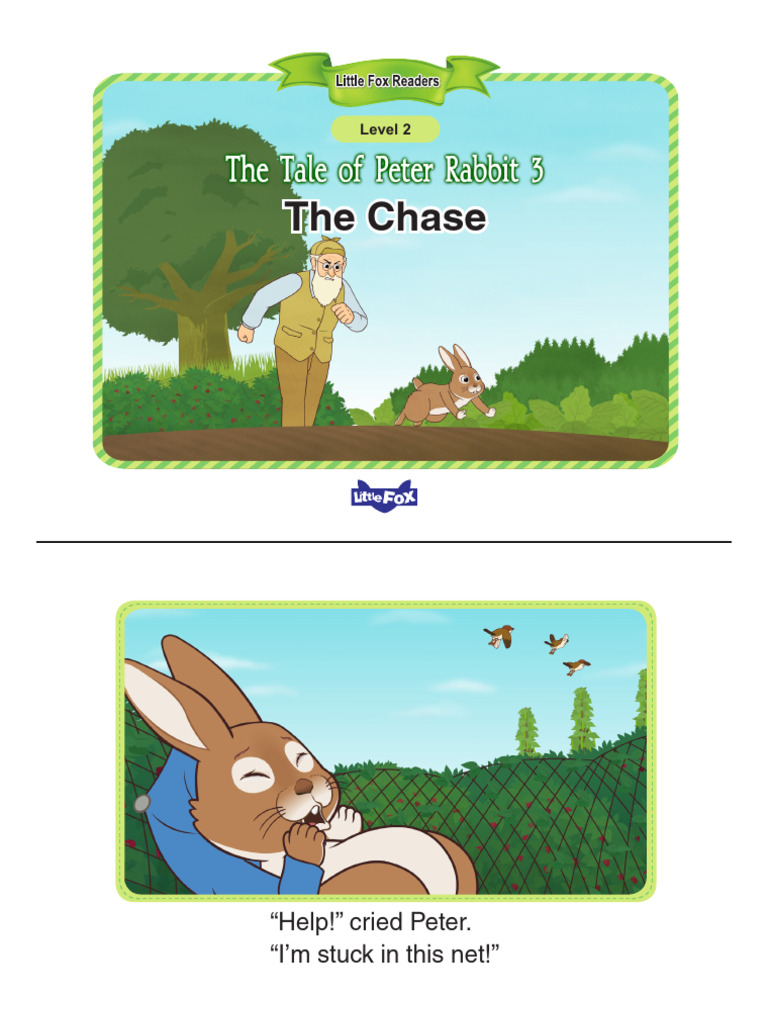 003 - The Tale of Peter Rabbit 3 - The Chase | PDF