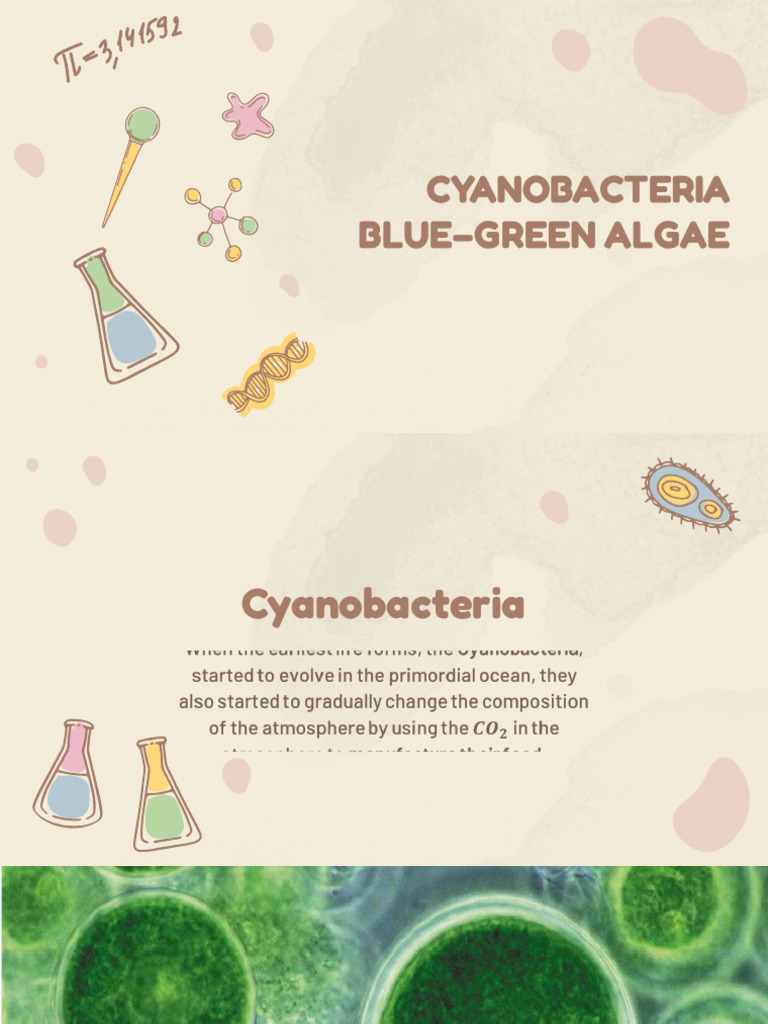 cyanobacteria.pptx | PDF