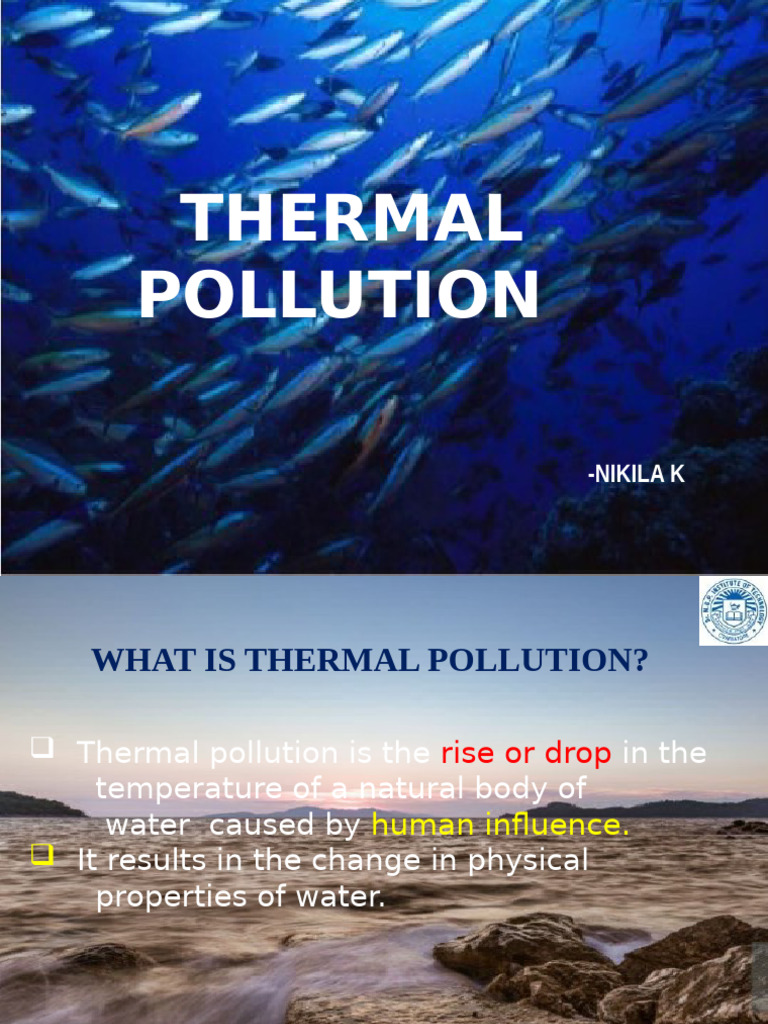 Thermal Pollution Seminar | PDF
