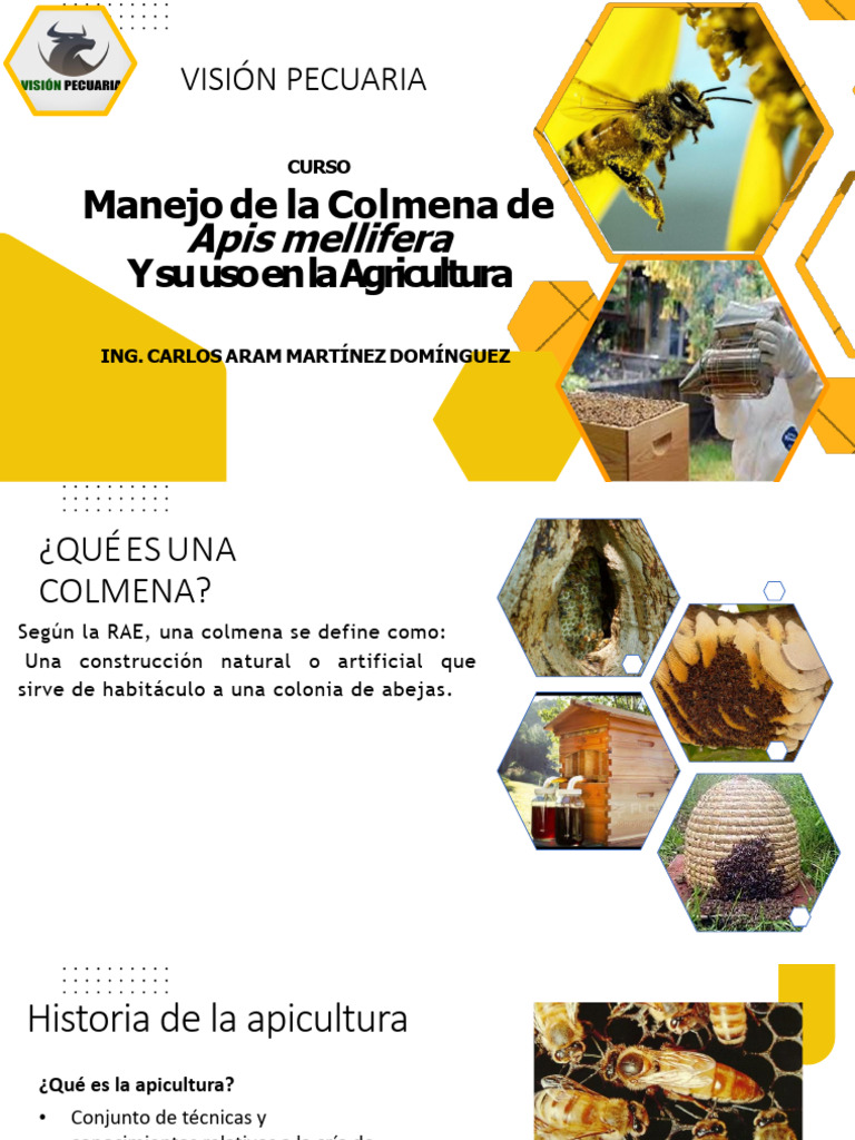 Curso Manejo de La Colmena | PDF | Apicultura | Colmena