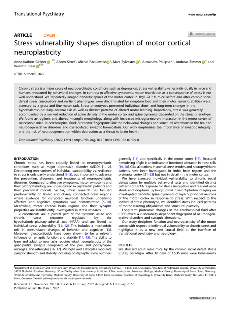 Stress Vulnerability Shapes Disruption of Motor Cortical ...
