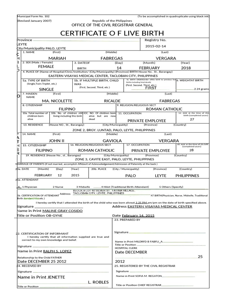 Municipal Birth Certificate Form 102 | PDF | Social Institutions