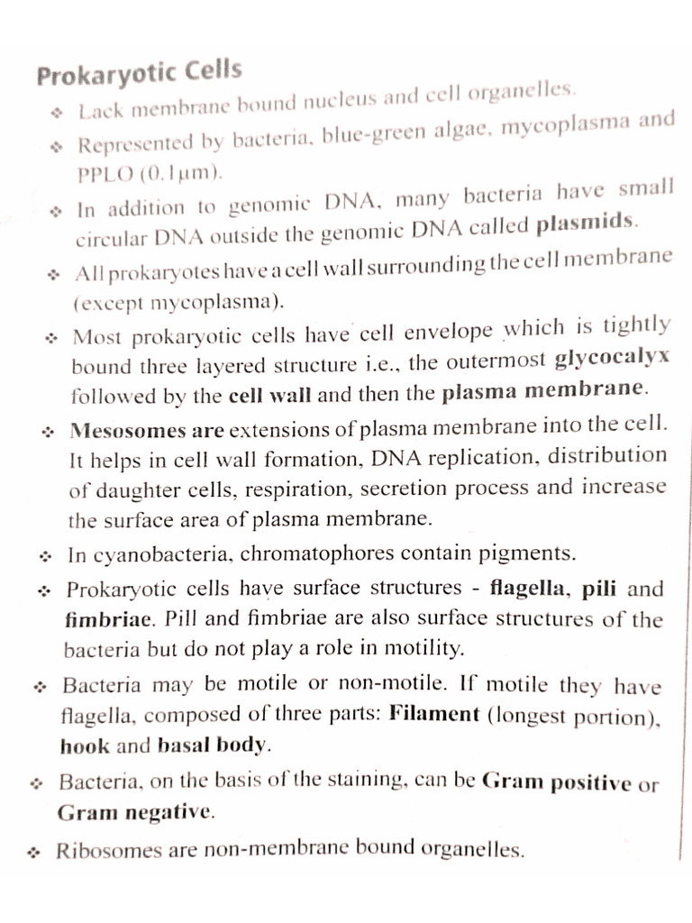 Class 11 Chapter 1 Short Notes | PDF