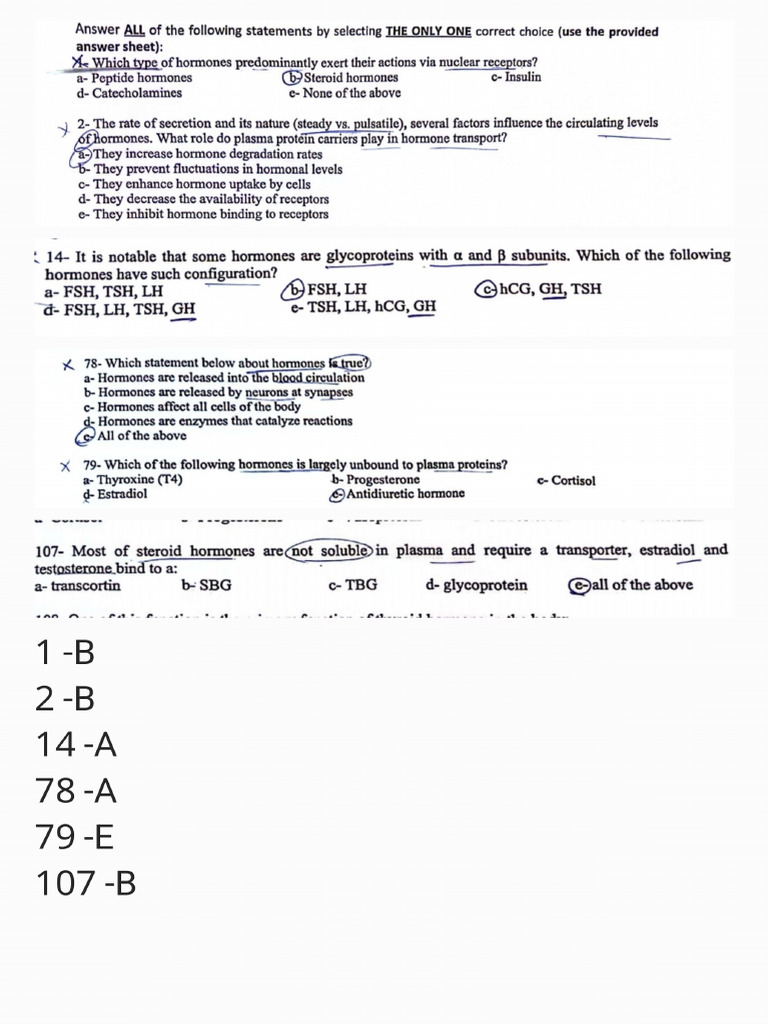 Ch16 - 1st (Answer Key) | PDF