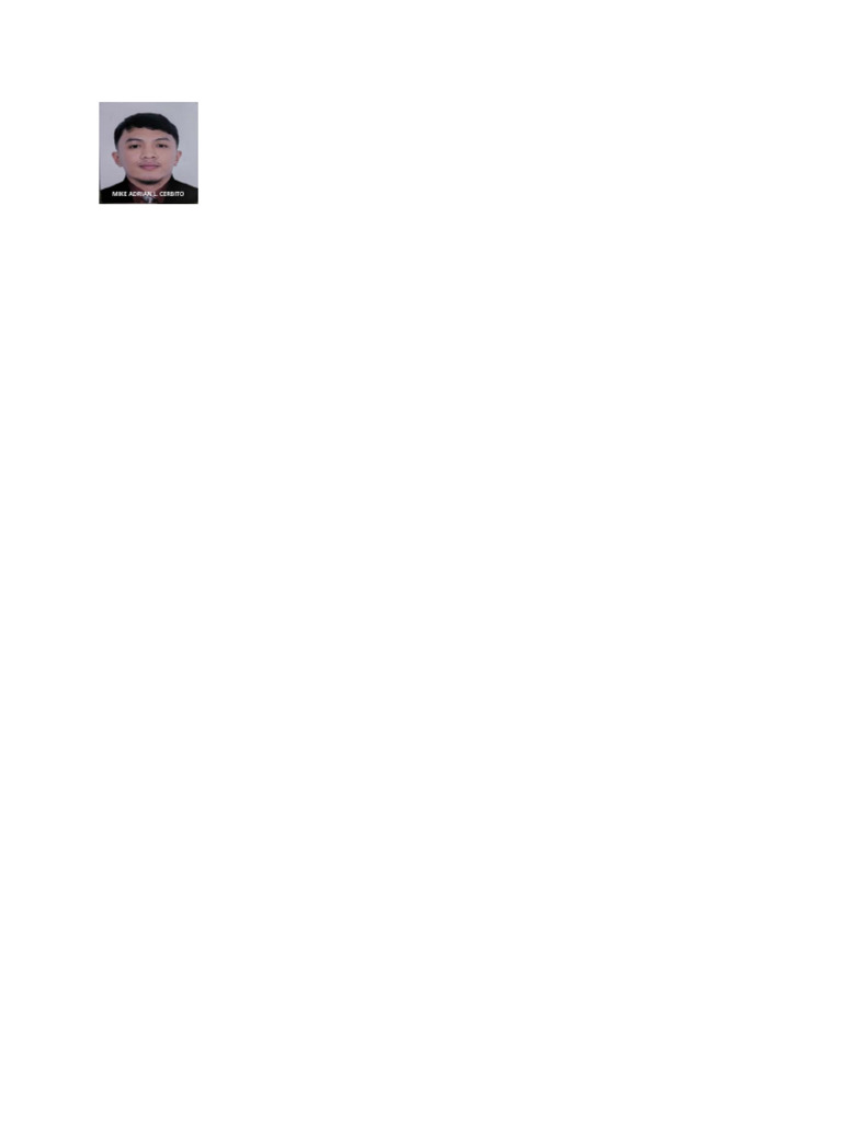 Id Picture | PDF
