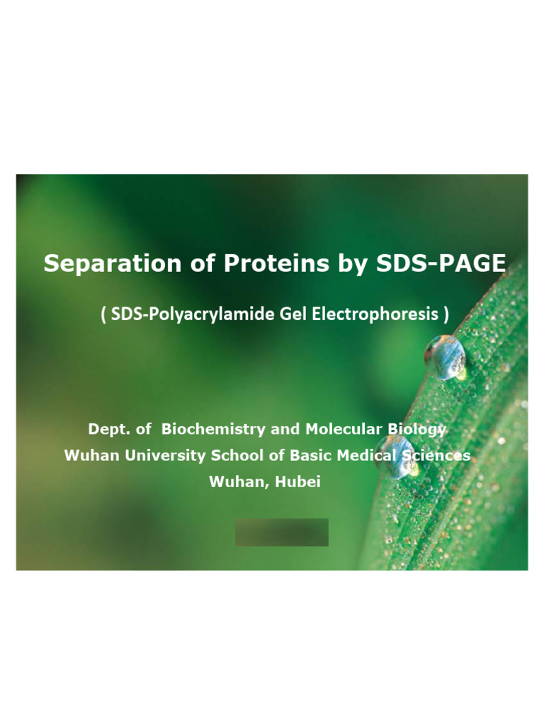 Open SDS-PAGE For Proteins Notes | PDF