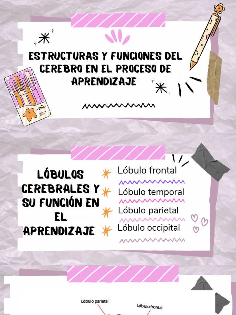 Estructuras y Funciones Del Cerebro | PDF