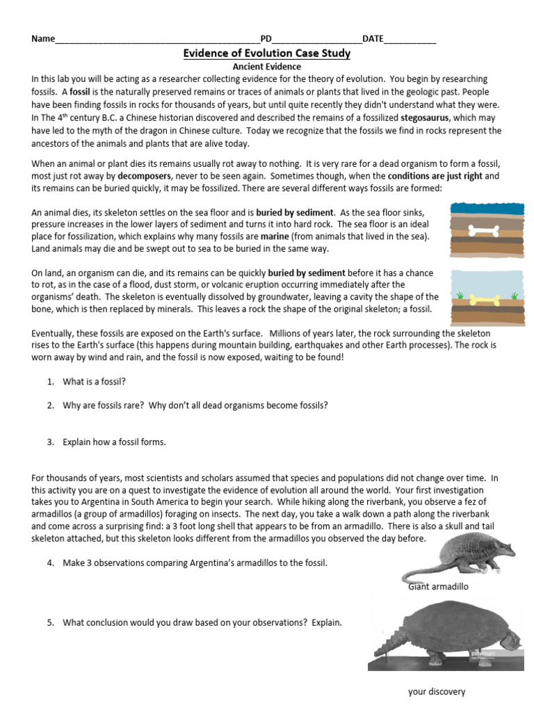 Evidence of Evolution Case Study | PDF | Radioactive Decay | Plate ...