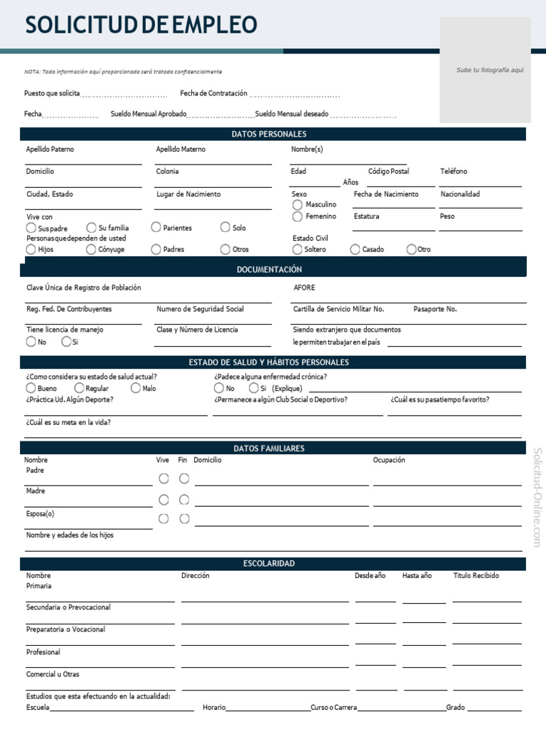 Solicitud de Empleo Profesional | PDF