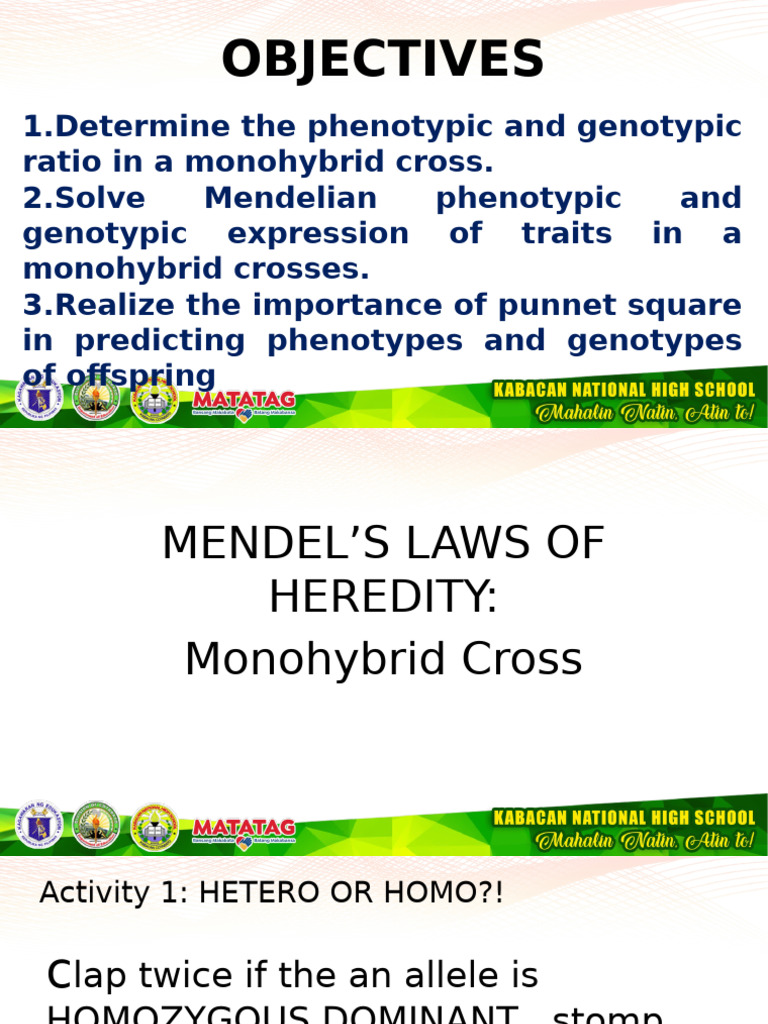 Cot Monohybrid Cross | PDF | Genotype | Dominance (Genetics)