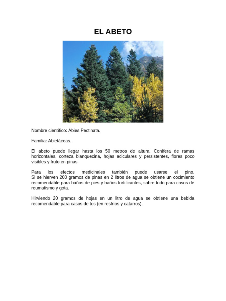 100 Plantas Medicinales | PDF