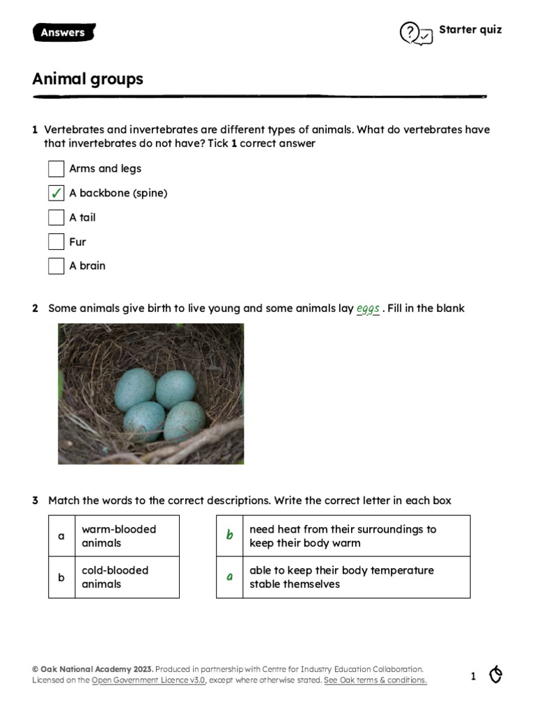 Starter Quiz Answers | PDF