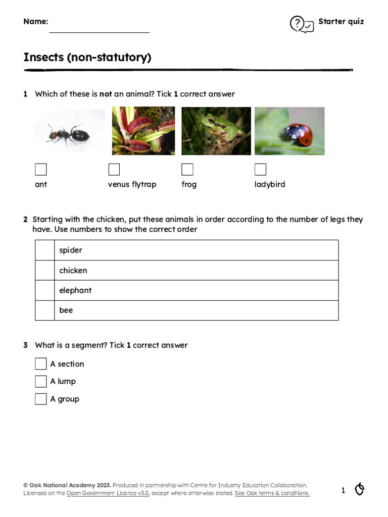 Insects Starter Quiz for Students | PDF