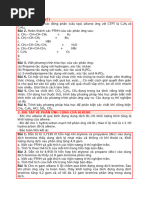 BÀI TẬP ANKANE | PDF