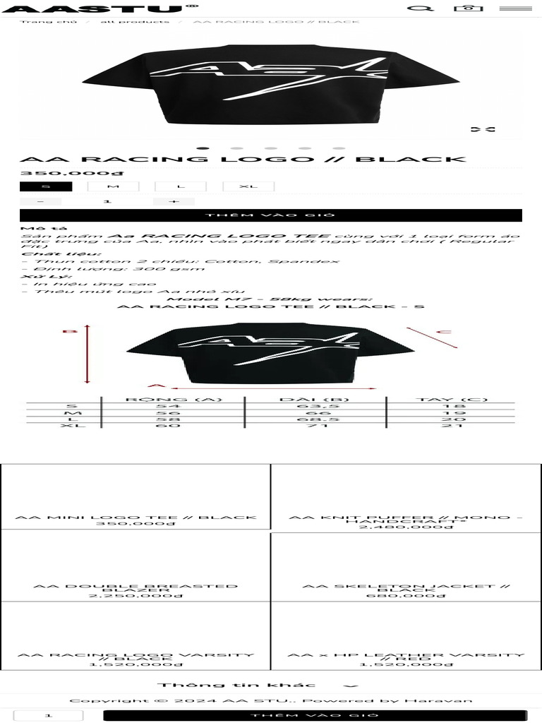 Aa Racing Logo Black - Aa Stu | PDF