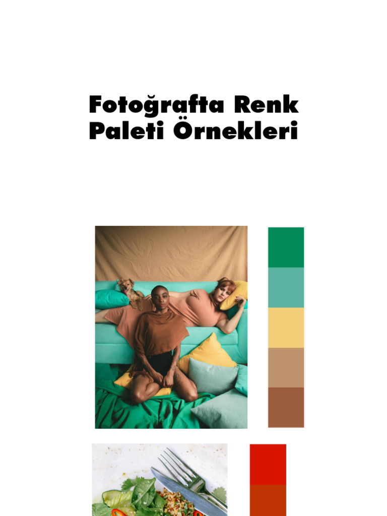 7fotoğraf Renk Paleti Örnekleri | PDF