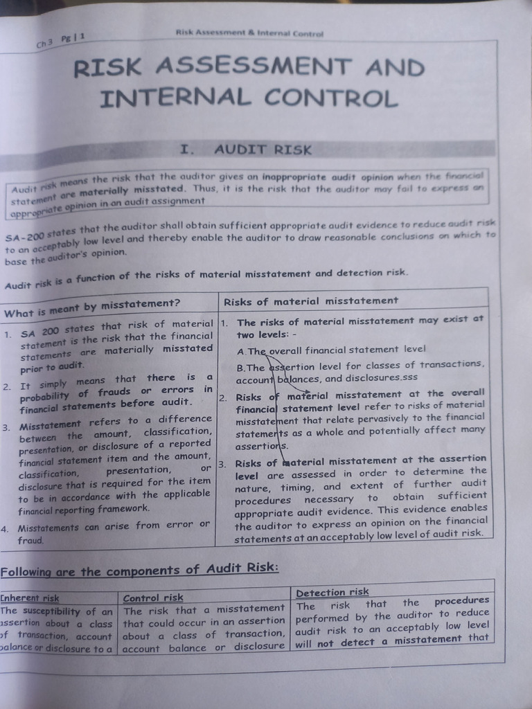 Audit Strategy, Plan and Programme | PDF