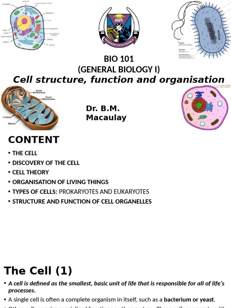 BIO 101 Courseware - DR B M Macaulay | PDF | Cell (Biology ...