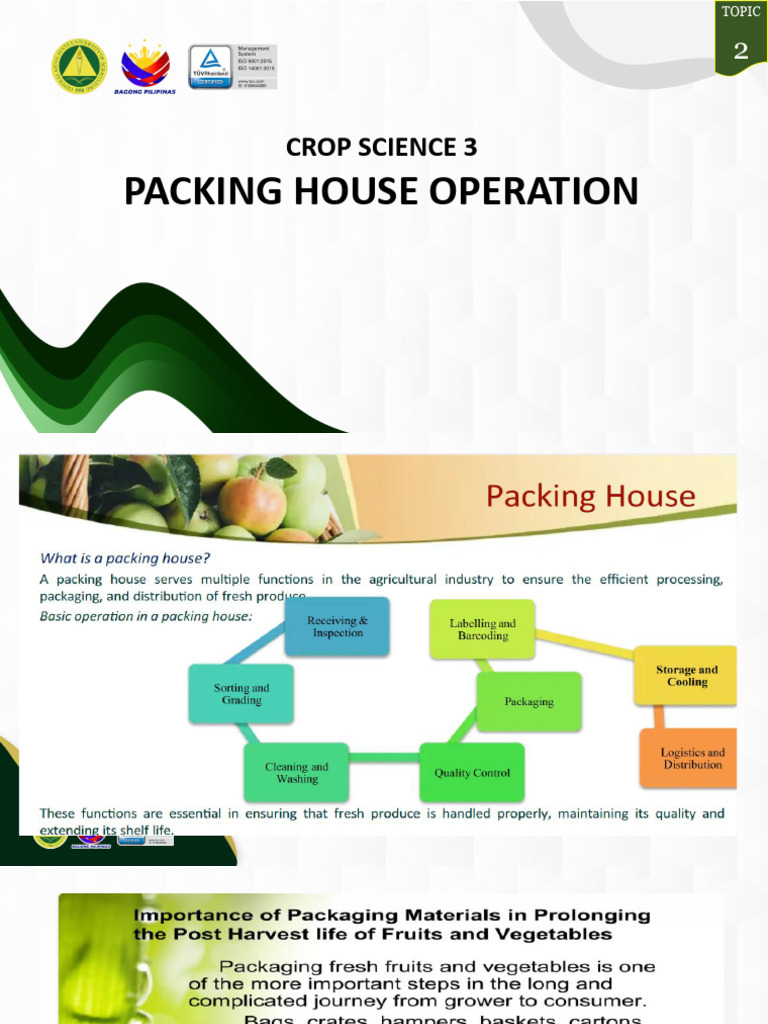 Packing House Operations for Fruits | PDF | Onion | Vegetables