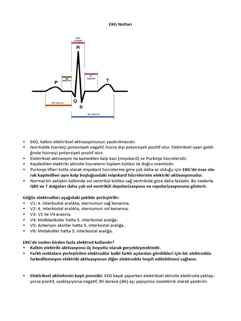 3.3-EKG Notları | PDF