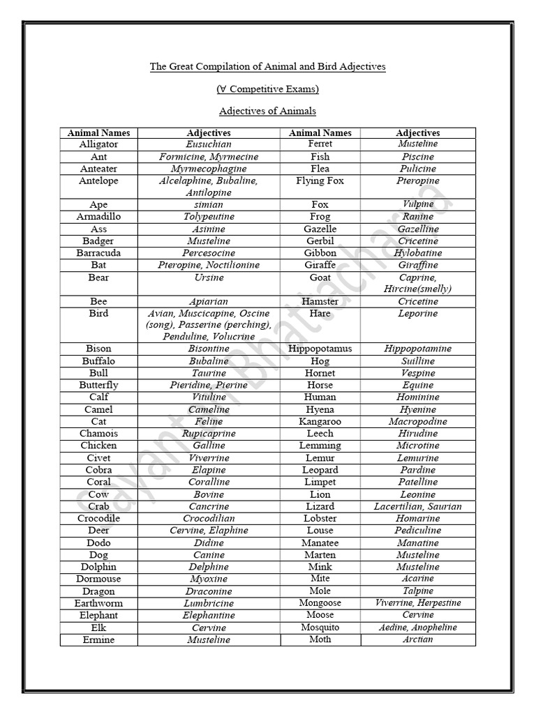 The Great Compilation of Animal and Bird Adjectives | PDF | Zoology