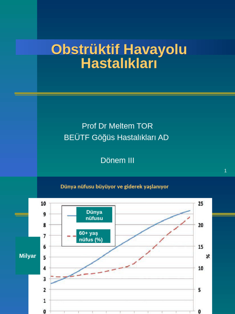 07 Tor Obstr 2024 | PDF