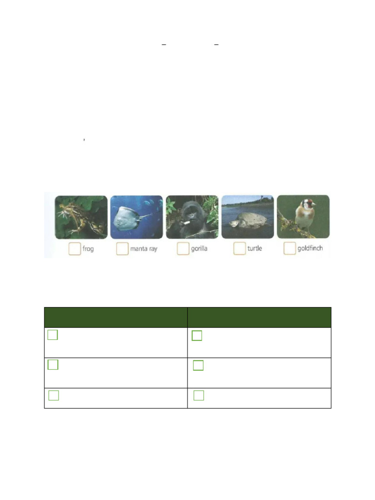 Test Unit 3 - Vertebrates - 4º Primaria | PDF | Respiratory System ...