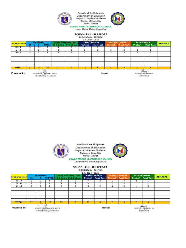 School PHIL-IRI Report 2024-2025 | PDF | Philippines