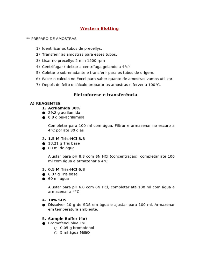 Western Blotting - Protocolo Completo | PDF | Eletroforese | Química