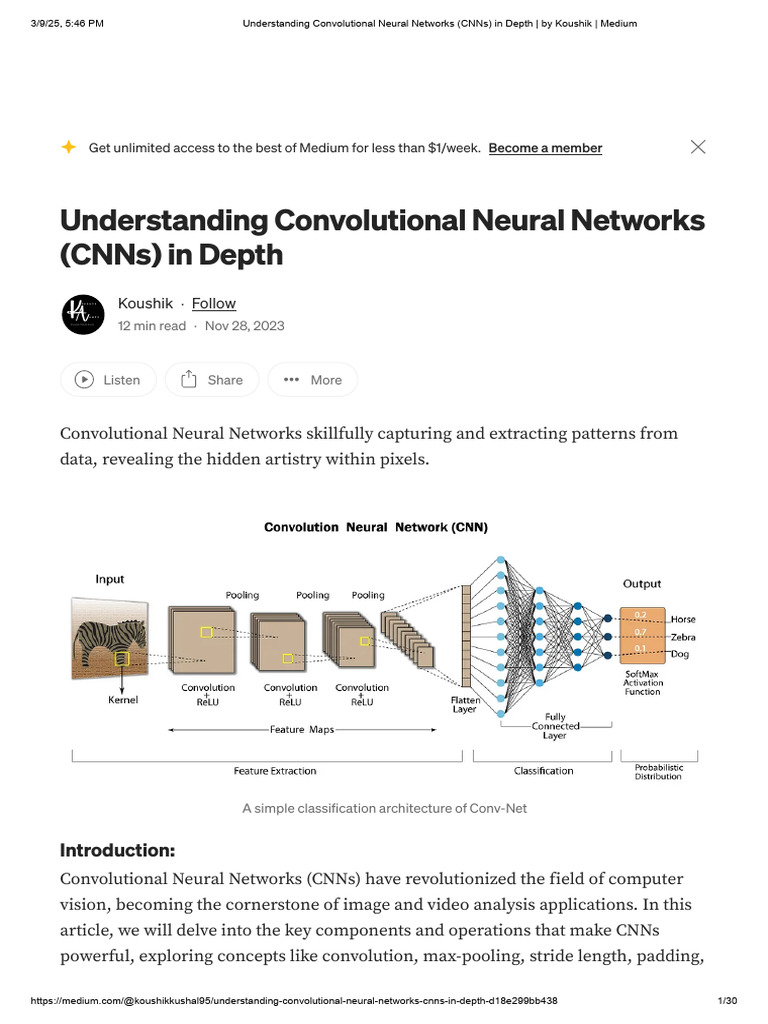 Understanding Convolutional Neural Networks (CNNS) in Depth - by ...