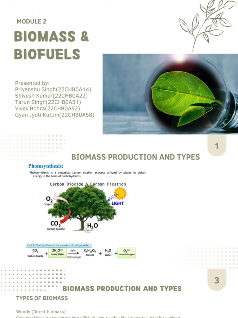 Biomass & Biofuels | PDF