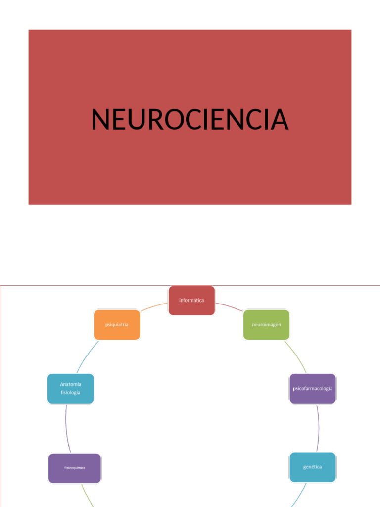 Neurociencia | PDF | Cerebro | Neurociencia