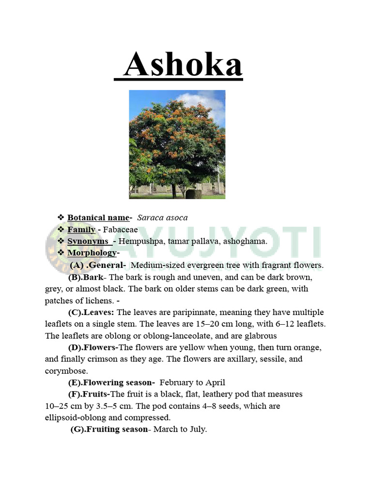 Ashok | PDF
