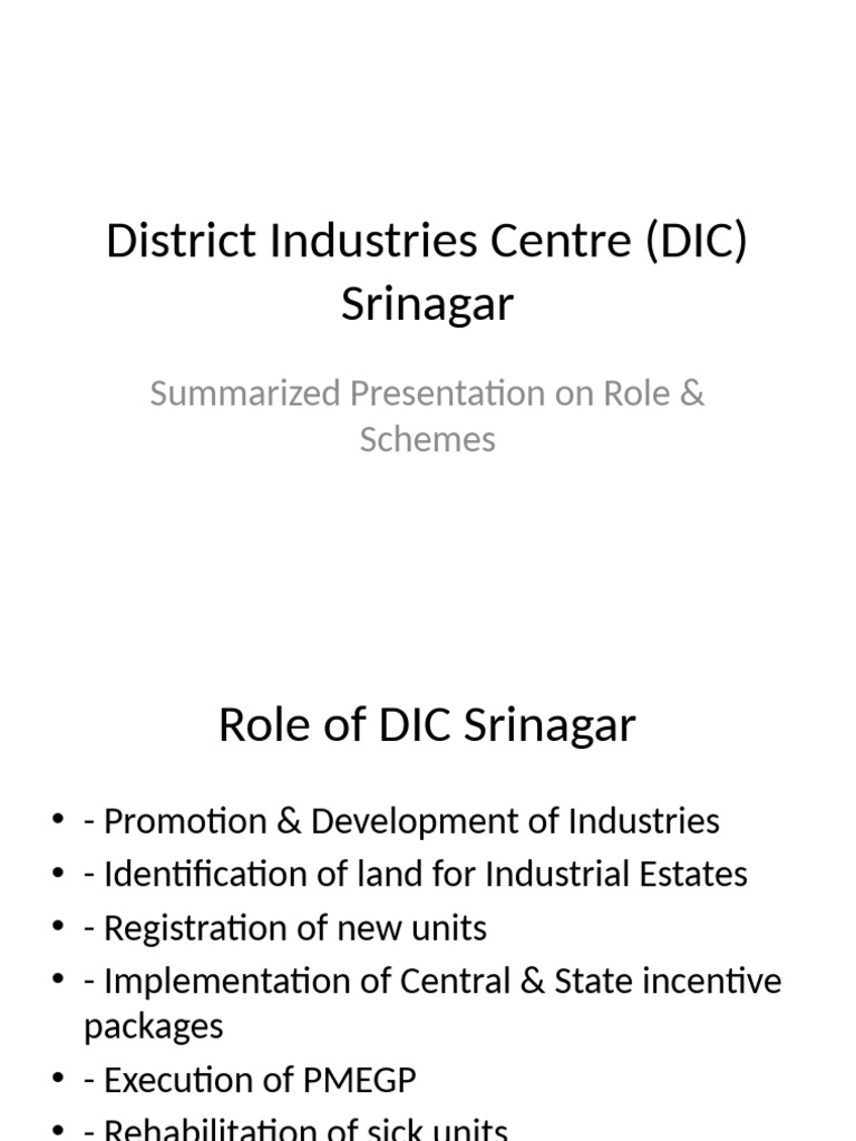 DIC Srinagar: Role & MSME Schemes | PDF